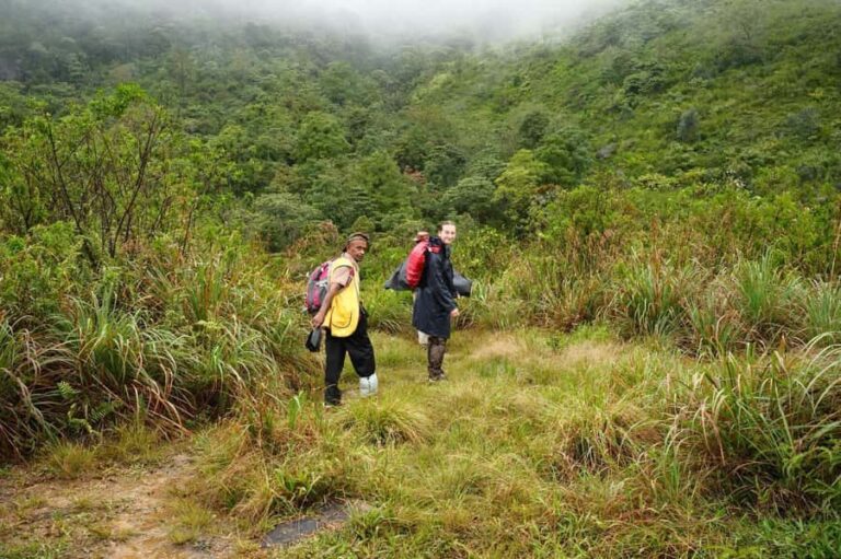 Kandy: Knuckles Mountain Range Full-Day Hike with Lunch - Practical Details and What to Expect