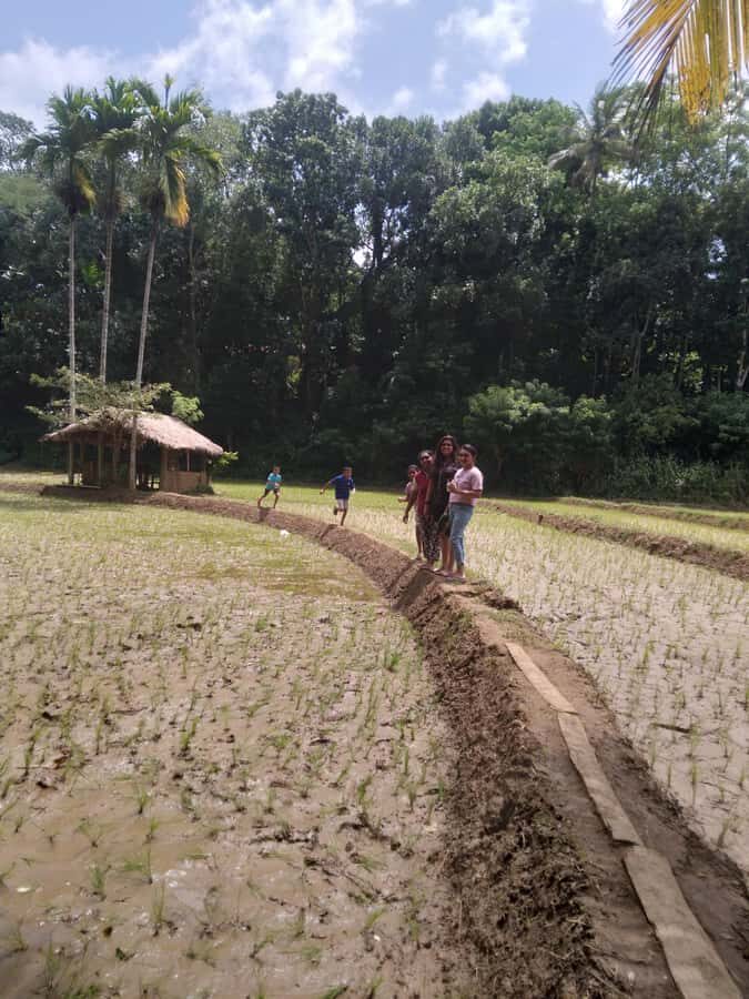Kandy: Nutmeg Plantation Tour with Kamatha Lunch - The Plantation Experience