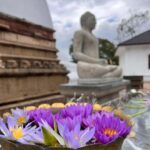 Kandy: Nuwara Eliya Secret & Historical Sightseeing Tour - What to Expect: A Closer Look at Each Stop