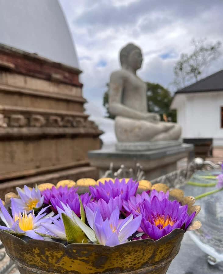 Kandy: Nuwara Eliya Secret & Historical Sightseeing Tour - What to Expect: A Closer Look at Each Stop