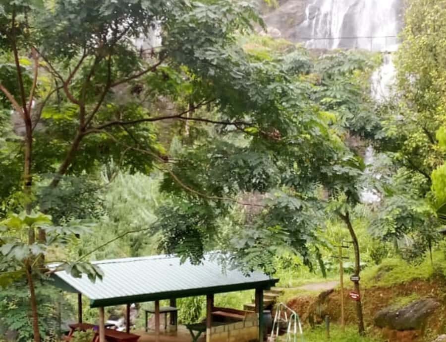 Kandy: Pettigala Hike, Waterfalls & Massage by Tuk Tuk - Practical Considerations