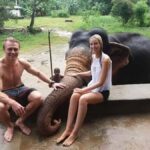 Kandy: Pinnawala & Ambuluwawa Tuk Tuk Day Tour - About the Tour: Practical Details