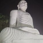 Kandy Private City Tour - A Detailed Look at the Kandy Private City Tour