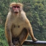 Kandy: Scenic Bus Journey - Waterfall Discovery - Detailed Breakdown of the Itinerary