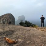 Kandy: Sigiriya Dambulla Private Tuk-Tuk Tour with Tickets - Analyzing the Value