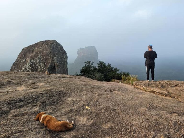 Kandy: Sigiriya Dambulla Private Tuk-Tuk Tour with Tickets - Analyzing the Value