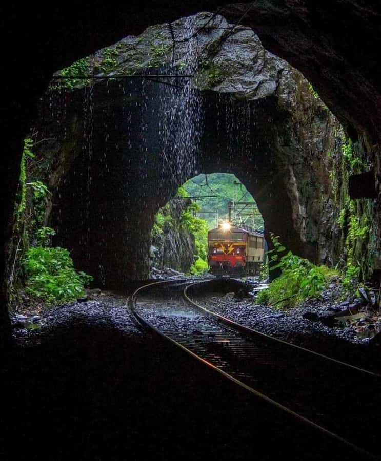 Kandy: Temple of Tooth, Train Ride, & Cave Waterfall Tour - The Practicalities