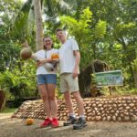 Kandy to Galle: Madu Ganga & Turtle Hatchery Tour - The Practical Side — What You Need to Know