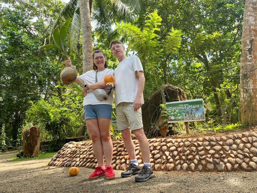 Kandy to Galle: Madu Ganga & Turtle Hatchery Tour - The Practical Side — What You Need to Know