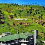 Kandy to Nuwara Eliya Day Tour - Ramboda Falls: Nature’s Water Curtain
