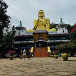 Kandy to Sigiriya Dambulla and Safari Private Day Tour - What You Can Expect from the Tour