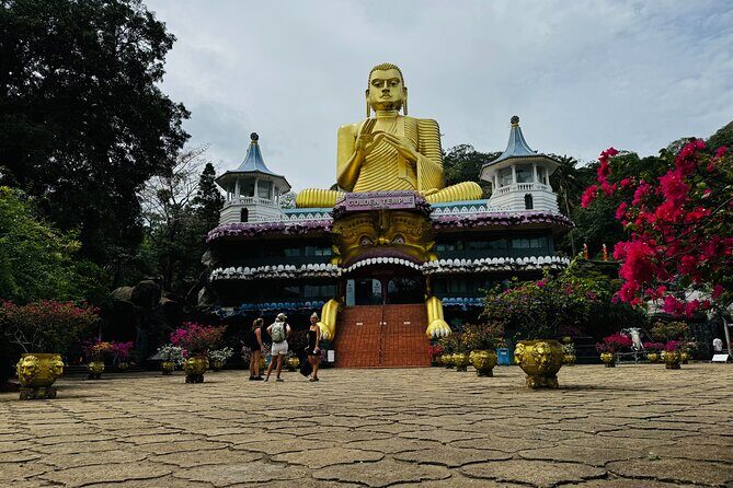 Kandy to Sigiriya Dambulla and Safari Private Day Tour - What You Can Expect from the Tour