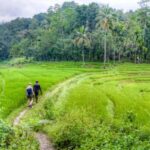 Kandy: Traditional Village Tour with Authentic Experience - Practical Details and Value