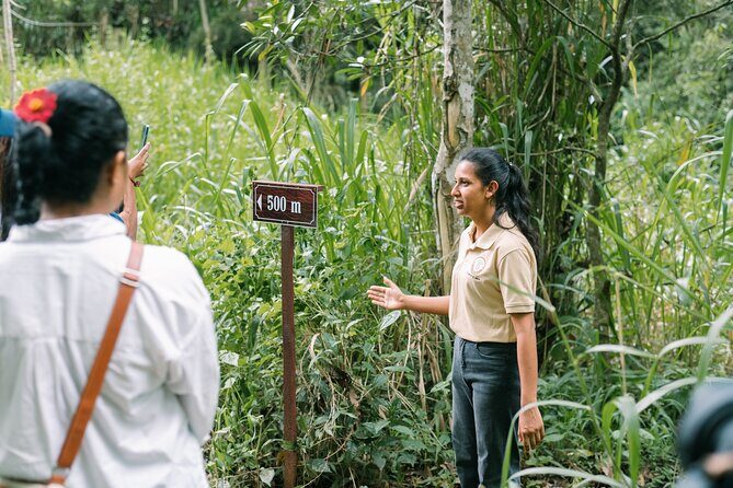 Kandy Yahalatenna Walking Coffee Class Activity - The Itinerary Breakdown