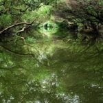 Kaohsiung: 4-Day Southern Taiwan Cultural Tour - The Sum Up