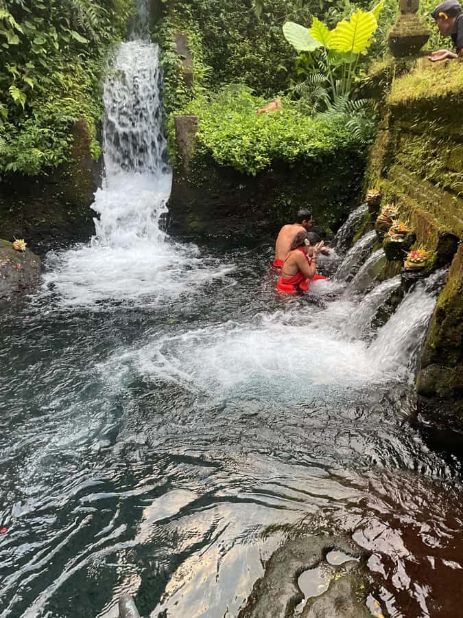 Karma and Clarity Bali Tour - What You Can Expect During the Day