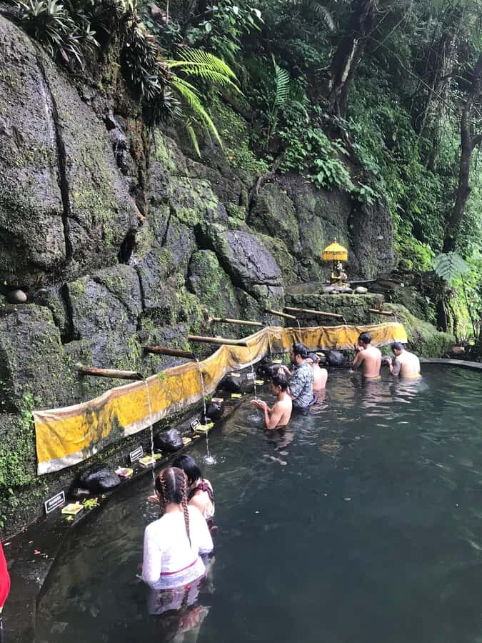 Karma Healing Journey in the Heart of Bali - Deep Dive into the Itinerary