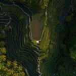 Kastala Tenganan Village Village Trekking - Considerations and Practicalities