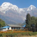 Kathmandu: 11-Day Guided Cultural and Nature Tour - Exploring the Historic Town of Panauti and Bhaktapur