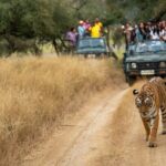 Kathmandu: 3 Days Chitwan Jungle Safari Private Tour - Who Will Love This Tour?