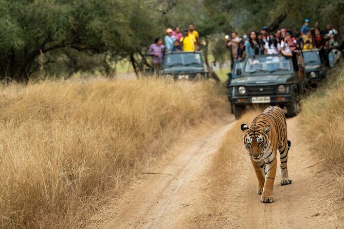 Kathmandu: 3 Days Chitwan Jungle Safari Private Tour - Who Will Love This Tour?