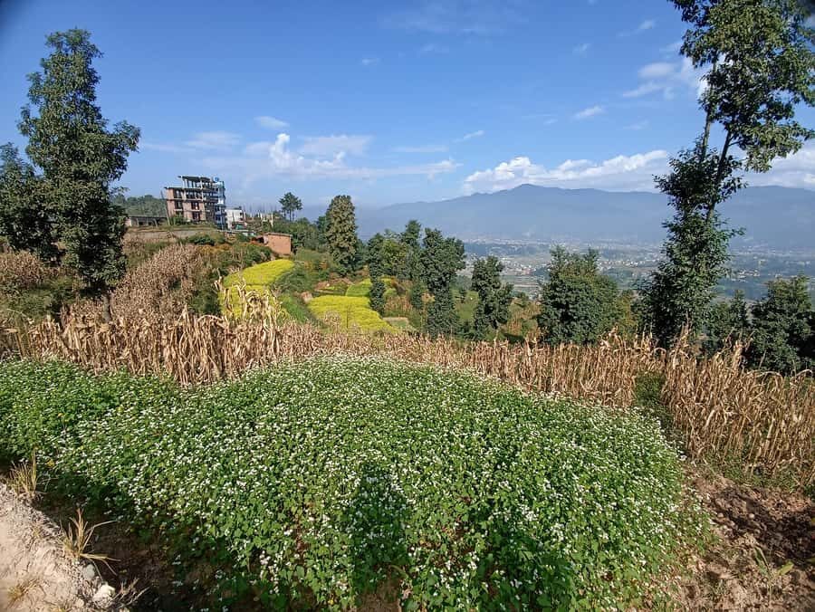 Kathmandu: 4-Day Culture, Cuisine & Himalayan Vistas - What It Means for You