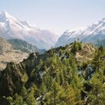 Kathmandu: Annapurna Base Camp Trek with Sightseeing - The Itinerary Explored: What You’ll Experience Day-by-Day