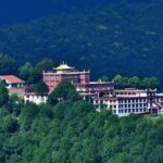 Kathmandu: Buddhist Monasteries Tour with Lunch - Who Will Love This Tour?