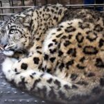 Kathmandu: Central Zoo Tour - The Highlights That Make It Worthwhile