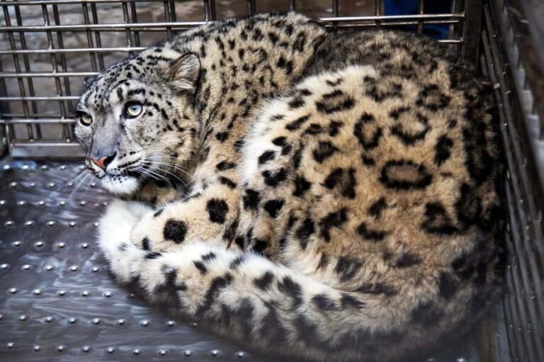 Kathmandu: Central Zoo Tour - The Highlights That Make It Worthwhile