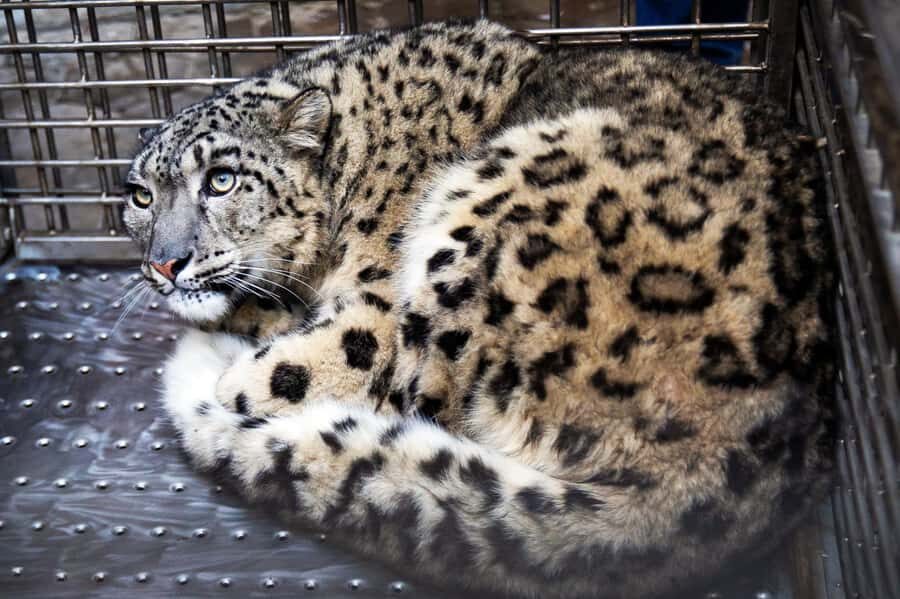 Kathmandu: Central Zoo Tour - The Highlights That Make It Worthwhile