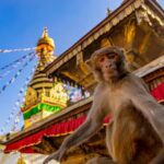 Kathmandu: Chandragiri Cable Car and Monkey Temple Tour - The Itinerary in Detail