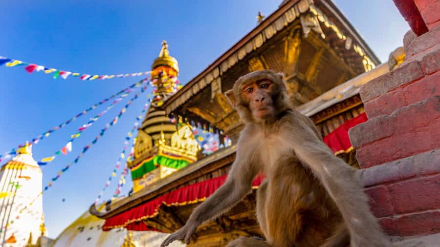 Kathmandu: Chandragiri Cable Car and Monkey Temple Tour - The Itinerary in Detail