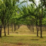 Kathmandu: Chitlang Wine Tasting Tour with Lunch & Guide - Practical Details and What to Expect