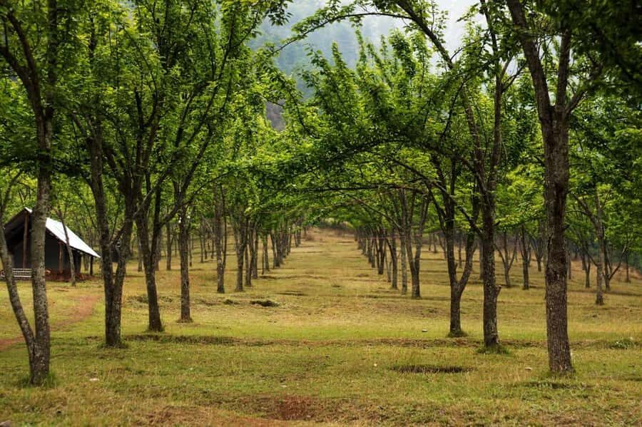 Kathmandu: Chitlang Wine Tasting Tour with Lunch & Guide - Practical Details and What to Expect
