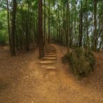 Kathmandu: Jamacho Peak Hike with Local Guide & Meal - What to Expect: The Details