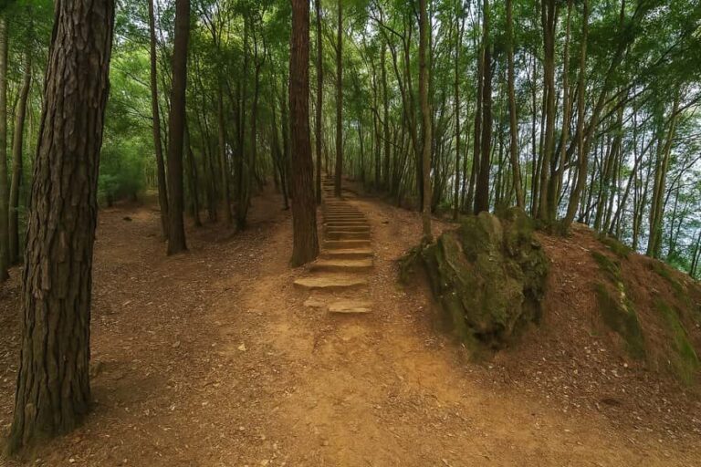 Kathmandu: Jamacho Peak Hike with Local Guide & Meal - What to Expect: The Details