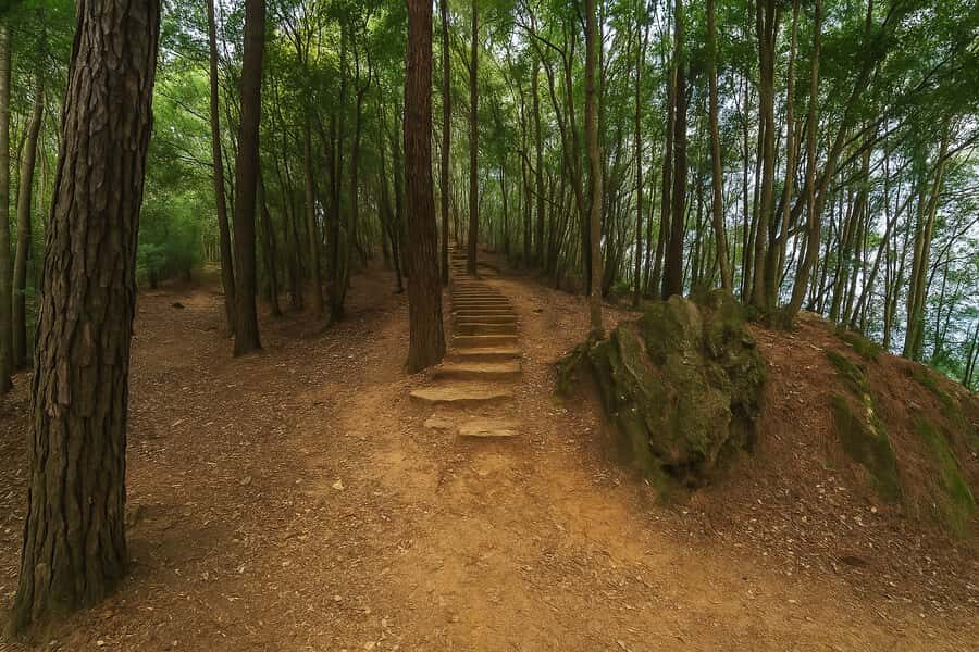 Kathmandu: Jamacho Peak Hike with Local Guide & Meal - What to Expect: The Details