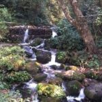 Kathmandu Private Tour: Day Hiking to Shivapuri - Who Should Consider This Tour?