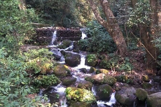 Kathmandu Private Tour: Day Hiking to Shivapuri - Who Should Consider This Tour?