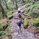 Kathmandu to Annapurna Base Camp Trek 7 Days Tour - The Itinerary in Detail