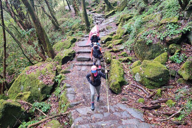 Kathmandu to Annapurna Base Camp Trek 7 Days Tour - The Itinerary in Detail