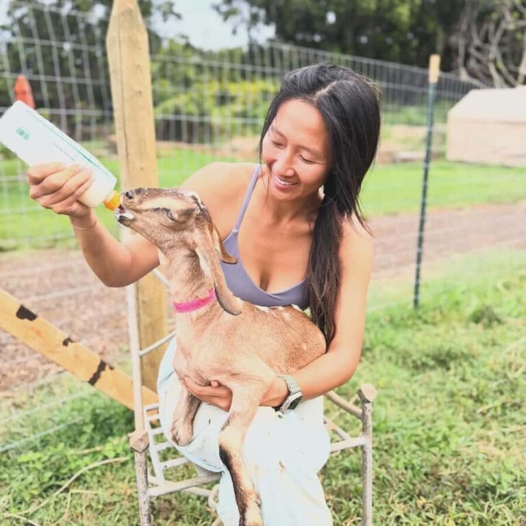 Kauai Farm: Play & Bottle Feed Baby Mini Nubian Goats! - The Location and Logistics