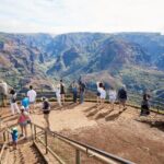 Kauai Highlights Full Day Tour from Oahu with Waikiki Pickup - Authentic Experiences and Common Complaints