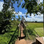 Kauai - Journey to Waimea Canyon, Spouting Horn & More - The Itinerary – Step by Step