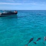 Kauai: Na Pali Coast Boat Tour with Cultural Captain & Crew - Final Thoughts: Is It Worth It?