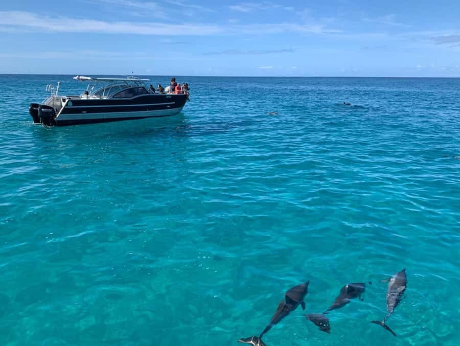 Kauai: Na Pali Coast Boat Tour with Cultural Captain & Crew - Final Thoughts: Is It Worth It?