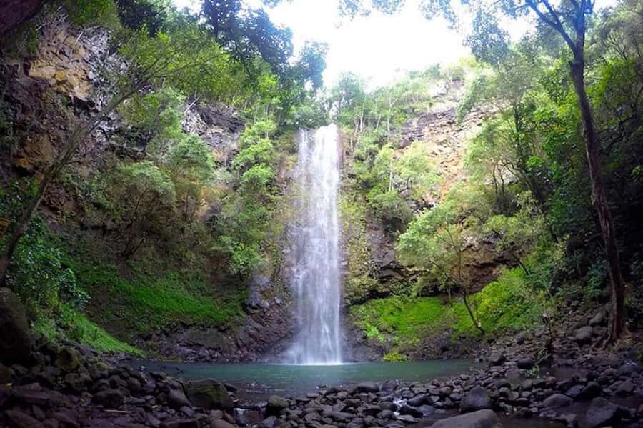 Kauai: Wailua Waterfall and River Kayak Adventure with Lunch - The Value of This Experience