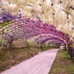 Kawachi Wisteria Garden, Kokura Castle & Outlets Day Tour - Value and Practicalities