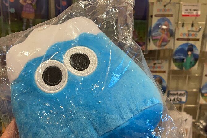 Kawaguchiko (Mt Fuji) Tour with Private Car - Who Is This Tour Best For?